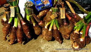 Five Traditional Fiji Dishes